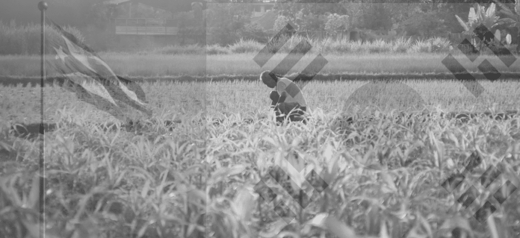 Todas las bases de datos - Cuba Research Project